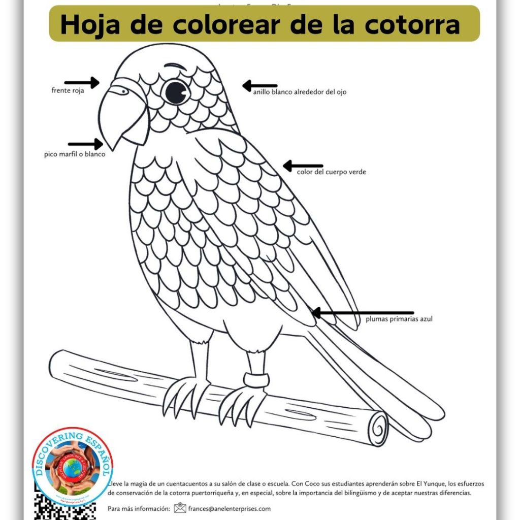 La cotorra puertorriqueña: recursos educativas y actividades divertidas